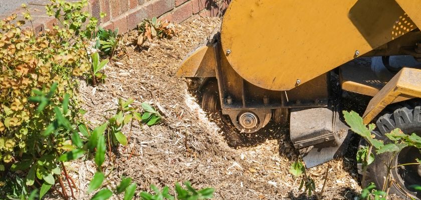 Handling Tough Stump Locations - Timber Kings Tree Service